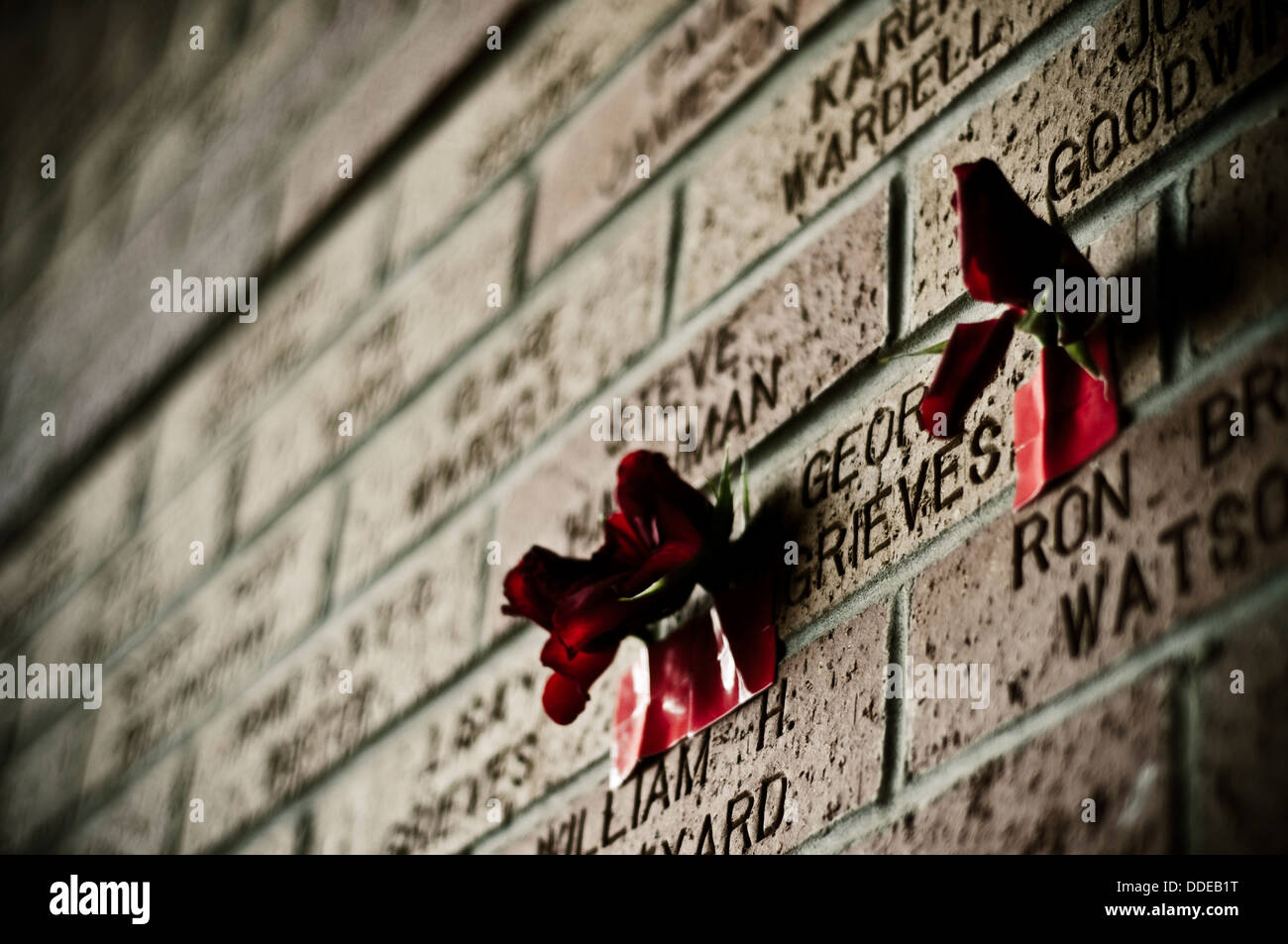 Flowers are pinned to a brick in Sunderland AFC's Wall of Fame at their ...