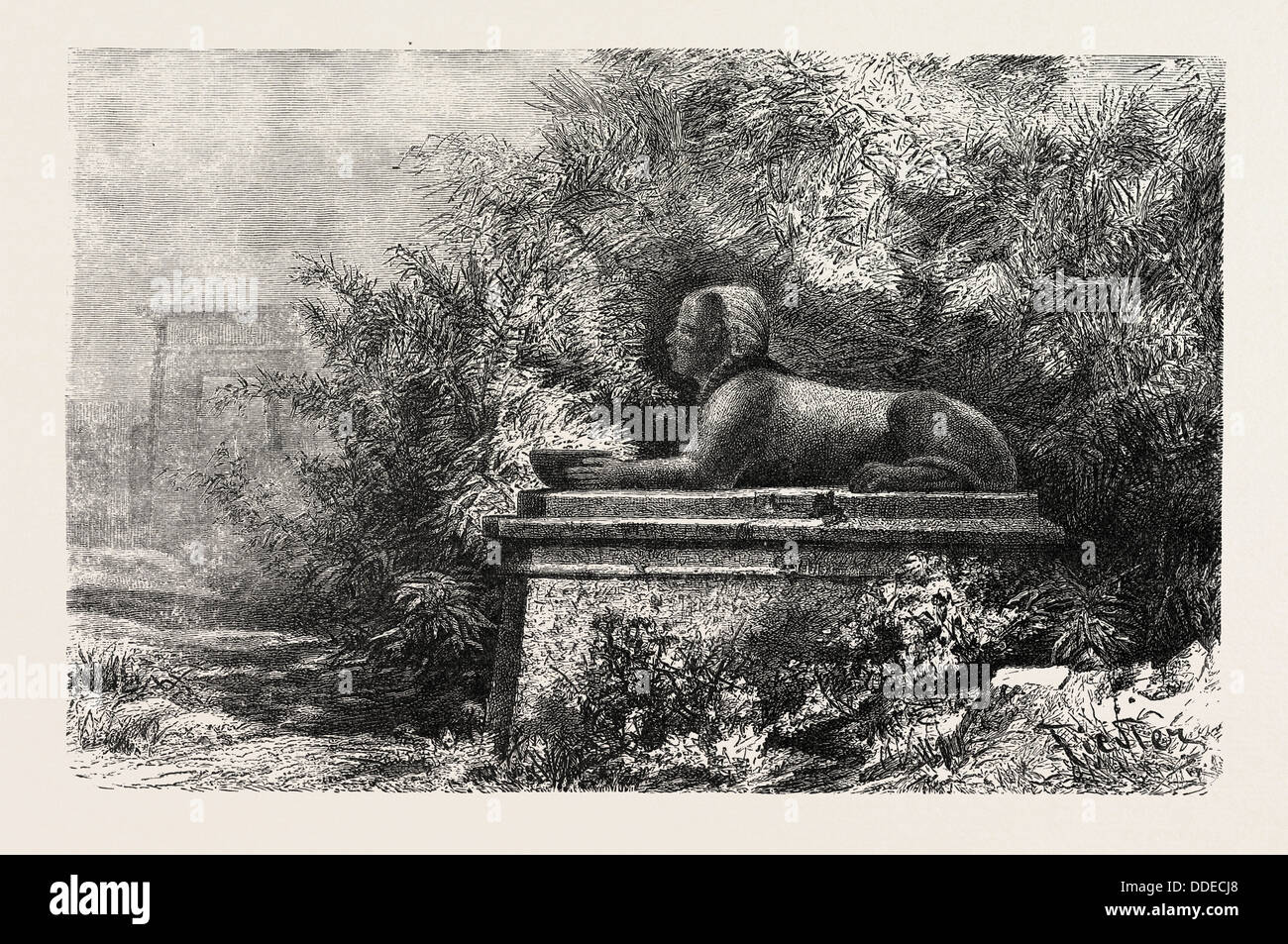 SPHINX AT KARNAK. Egypt, engraving 1879 Stock Photo - Alamy