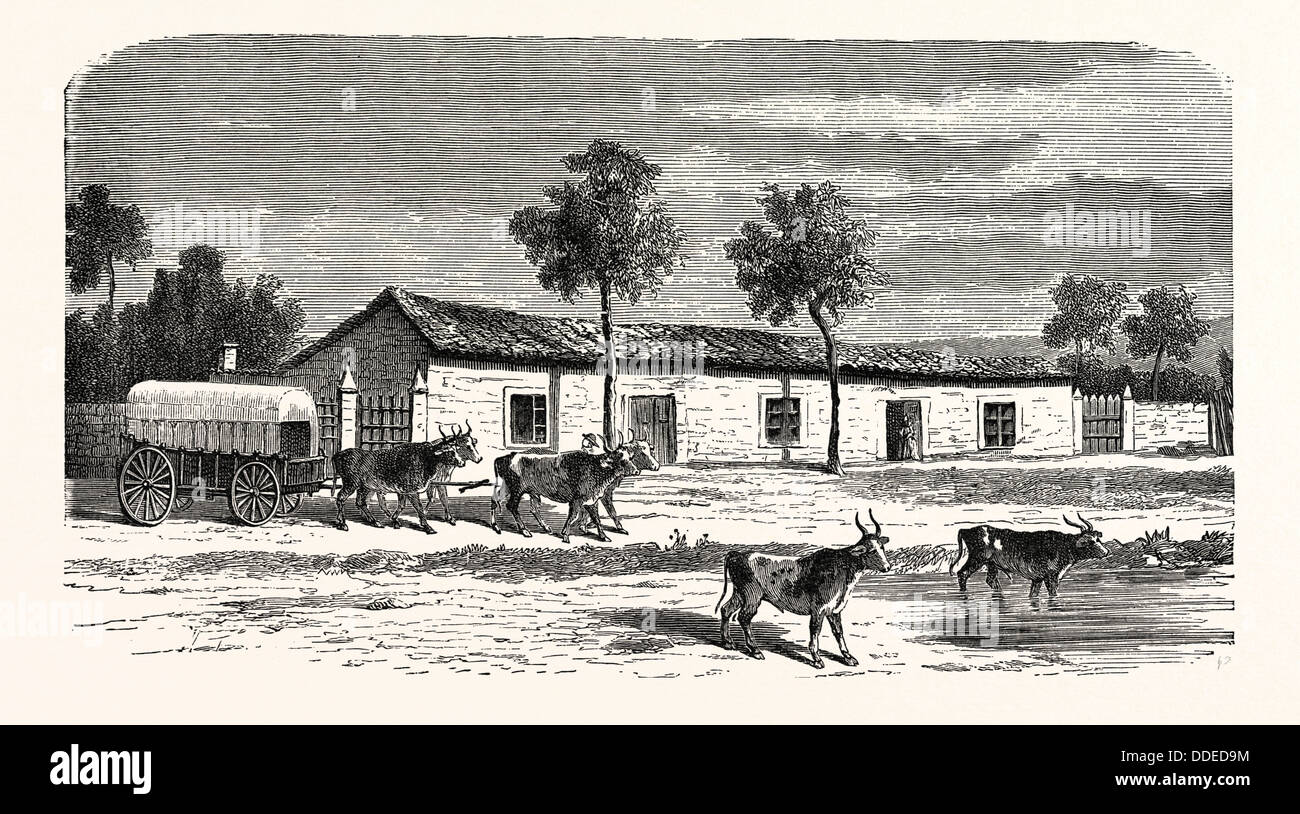 A BOER FARM, SOUTH AFRICA Stock Photo - Alamy