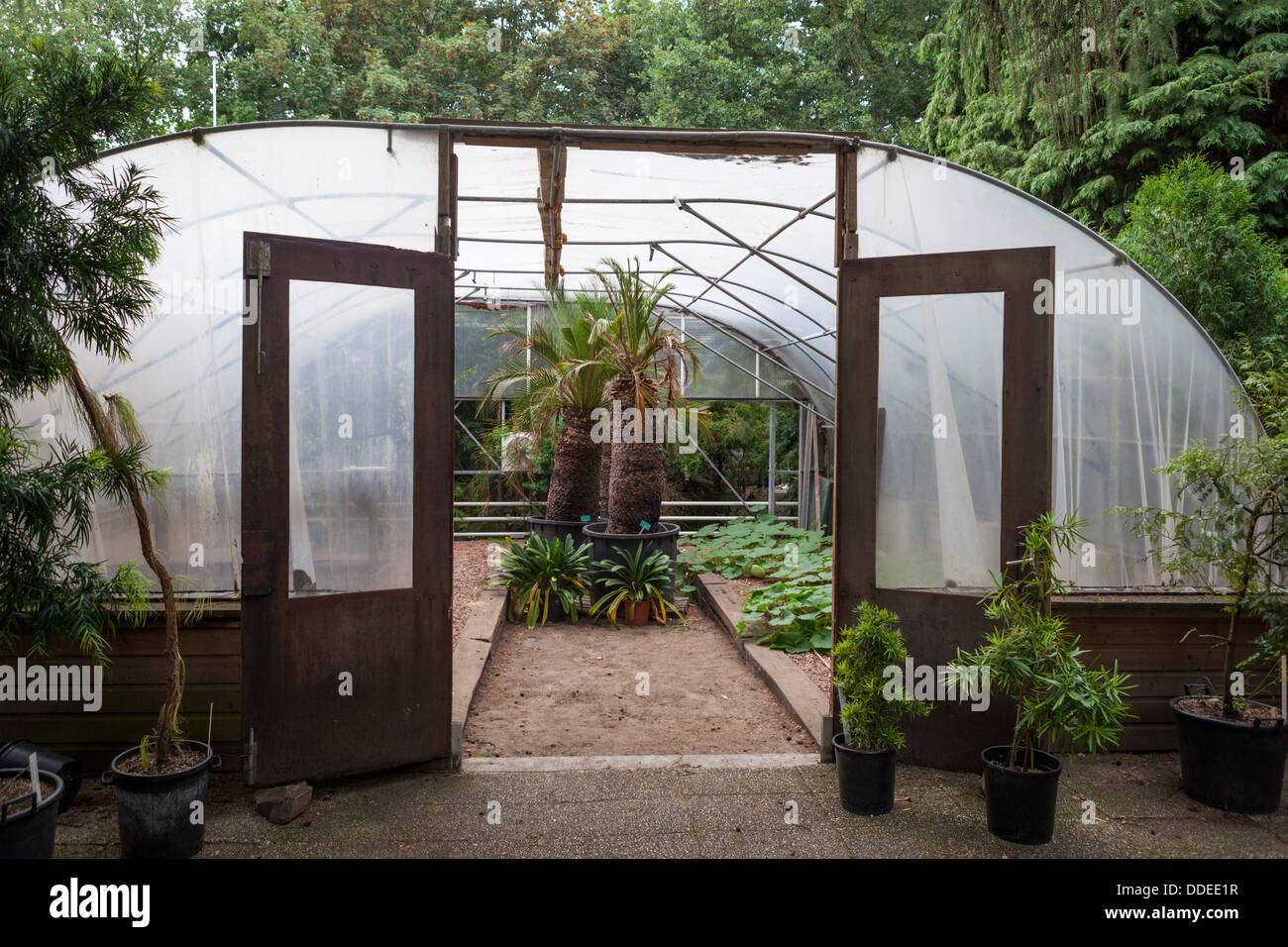 Greenhouse at the Pinetum Blijdenstein in Hilversum in the Netherlands ...