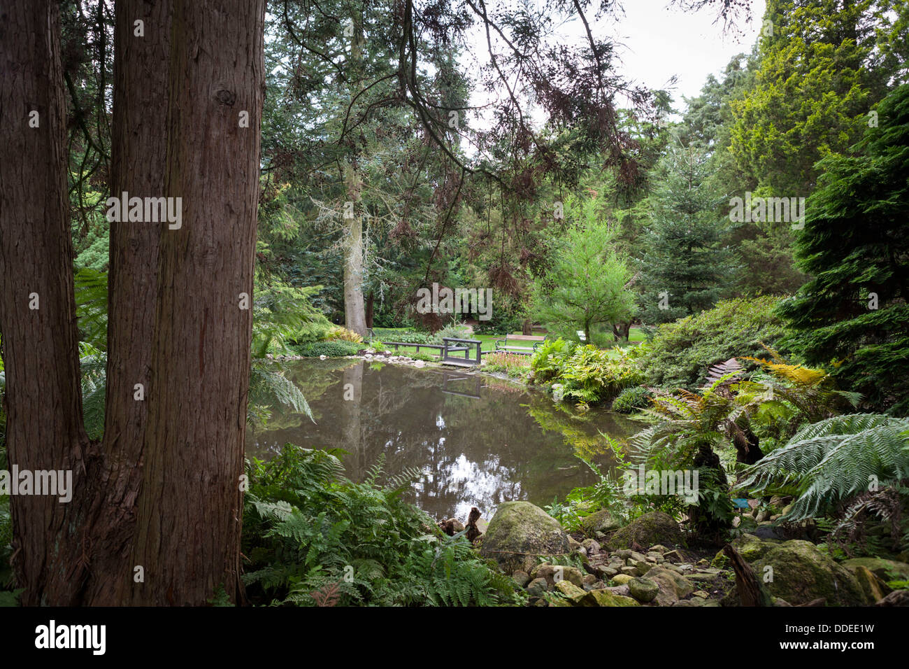 Mesozoic garden and pond at the Pinetum in Hilversum in the Netherlands ...