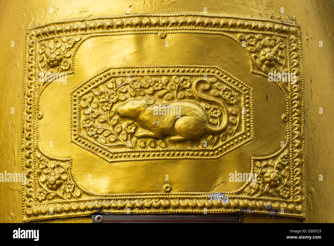 Rat photographs hi-res stock photography and images - Alamy