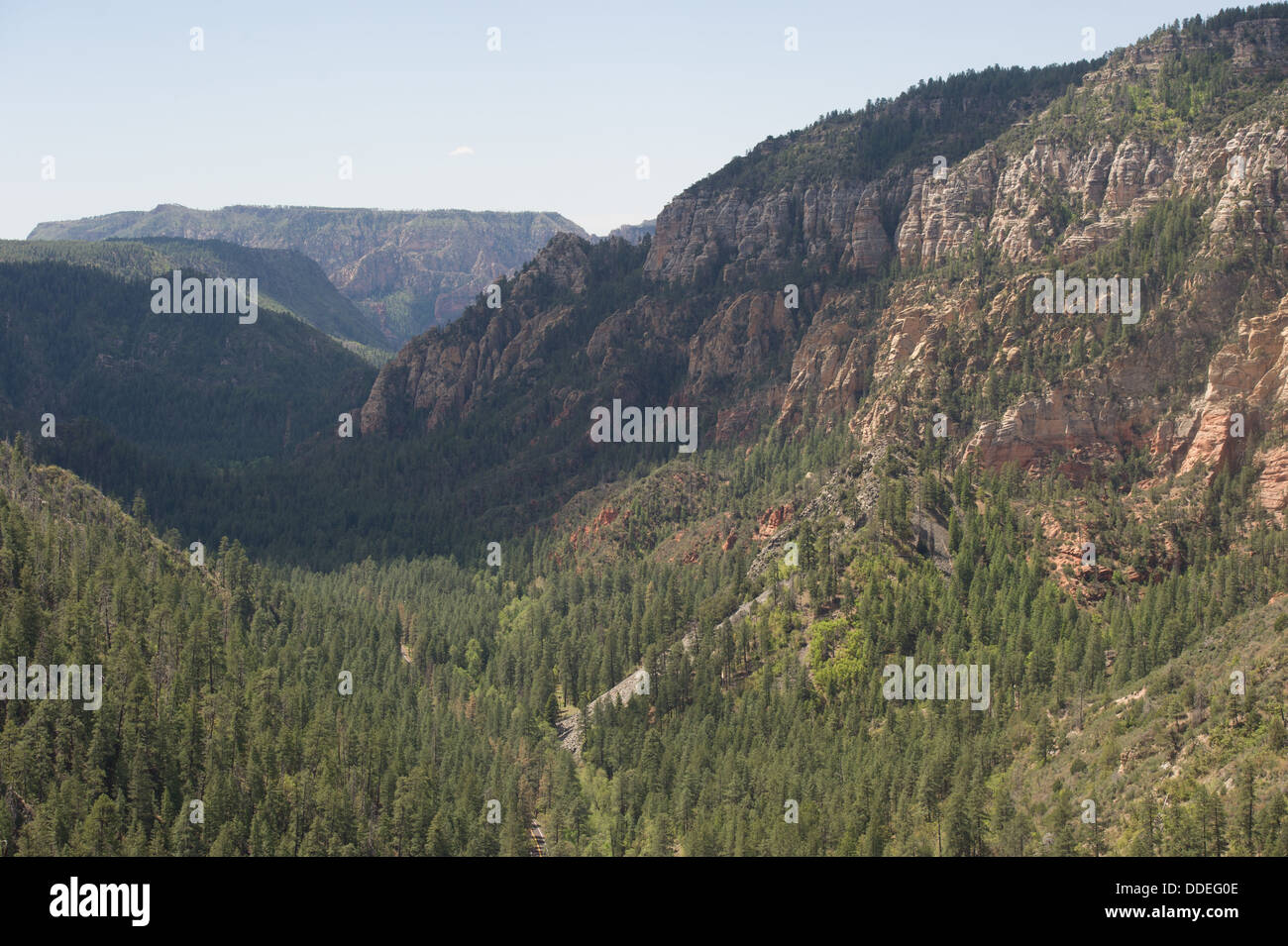 Sedona Arizona Plateaus and Tree-covered Mountains Stock Photo - Alamy