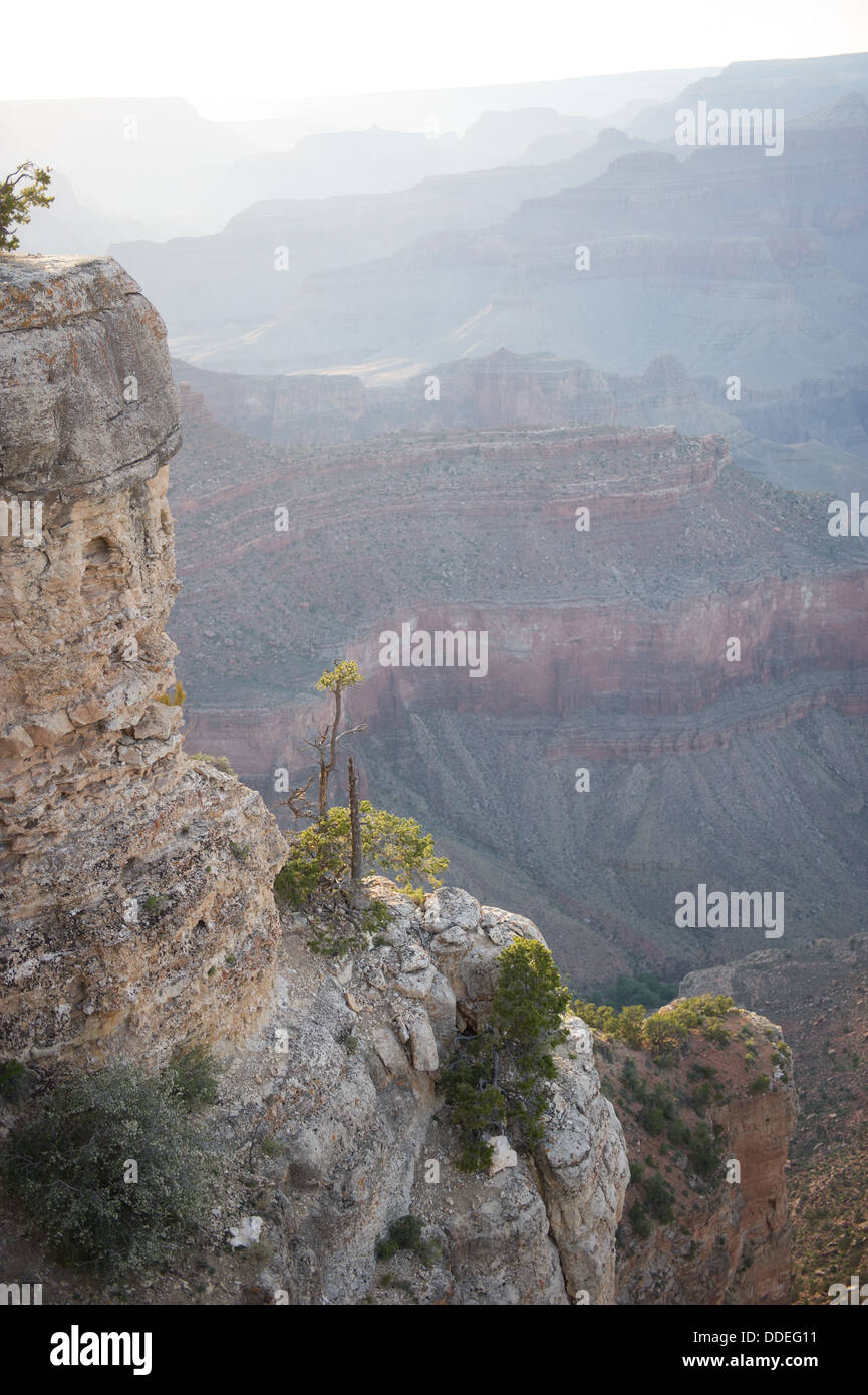 Grand wonder arizona hi-res stock photography and images - Alamy