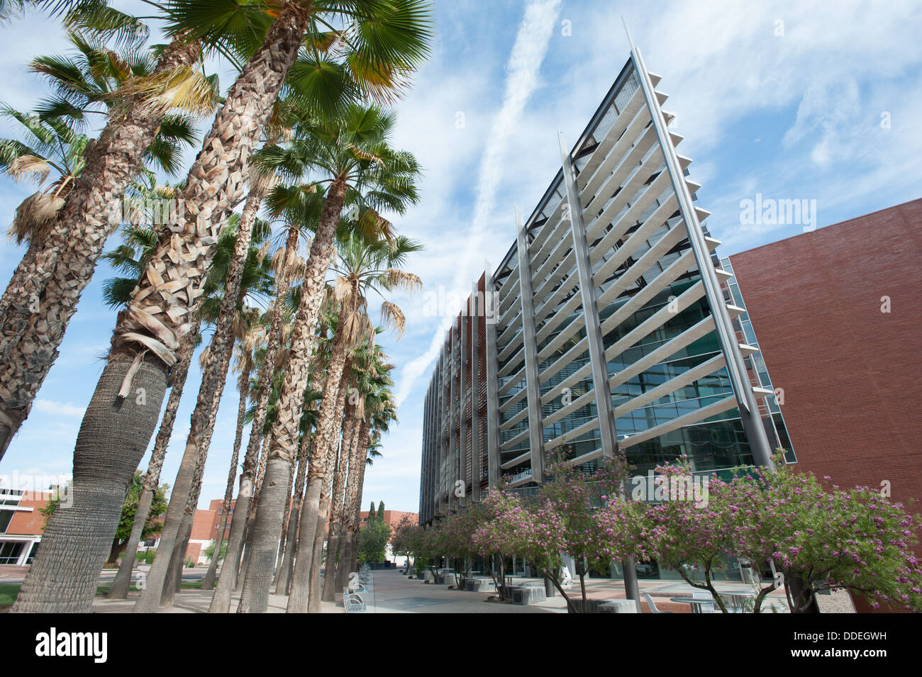 University of arizona hi-res stock photography and images - Alamy
