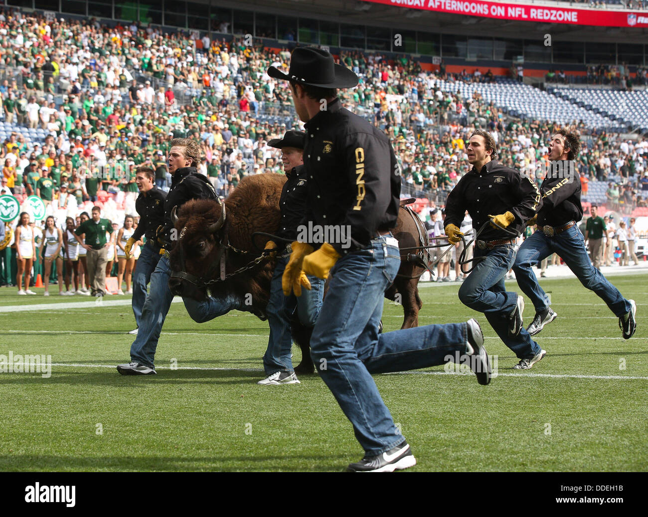 Ralphie hi-res stock photography and images - Alamy