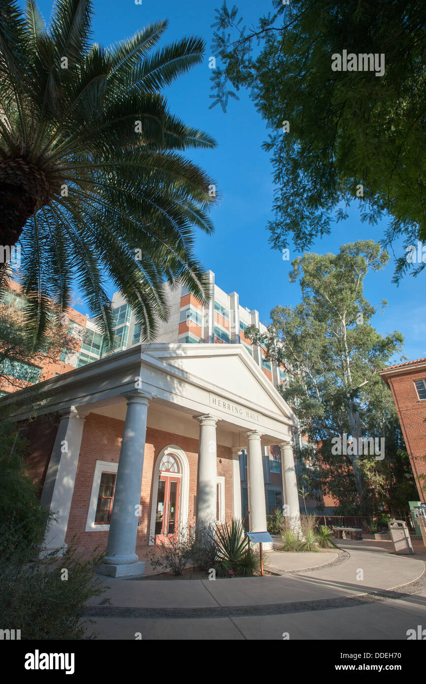 University Of Arizona