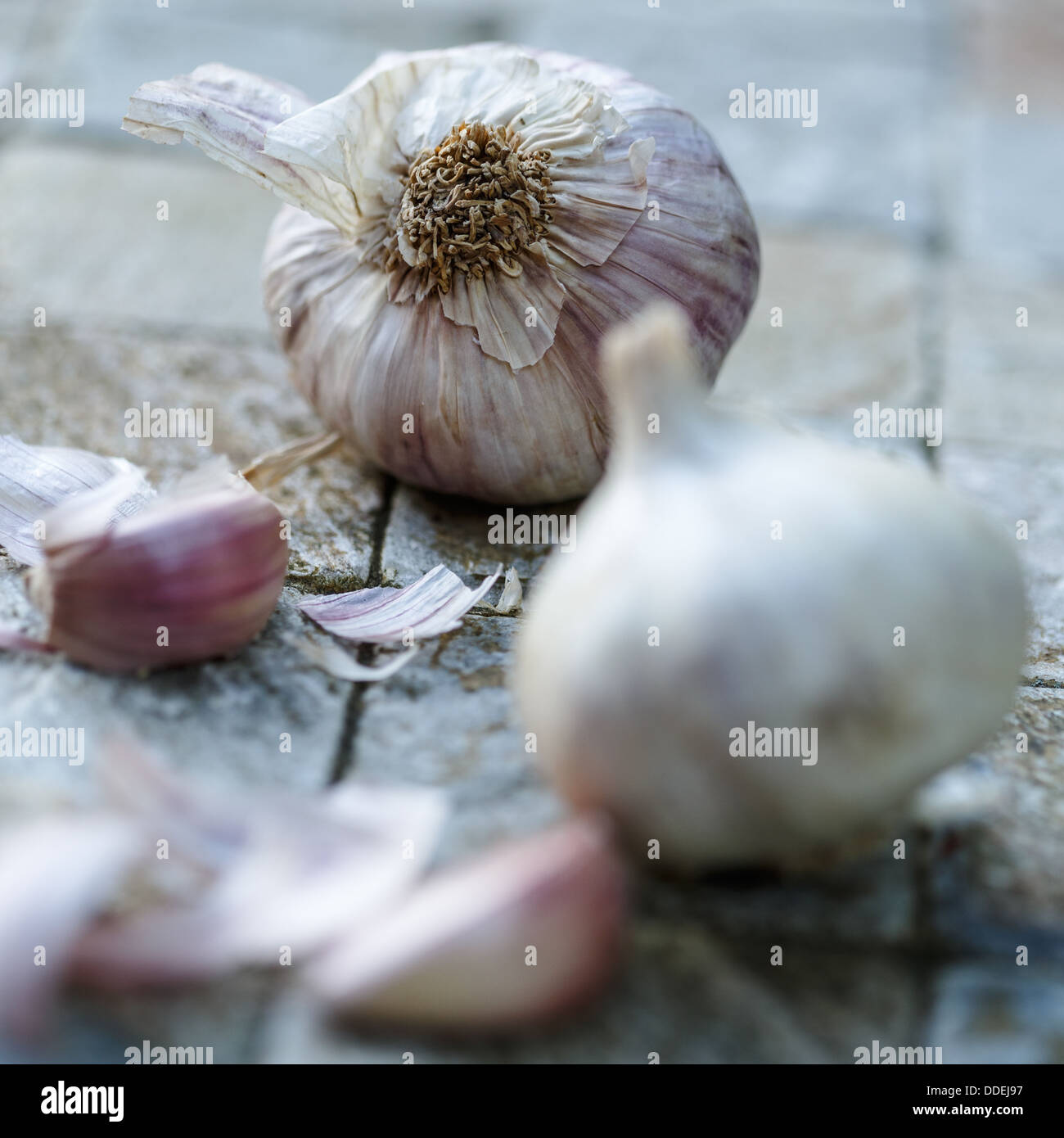 red Garlic from Sicily Stock Photo - Alamy