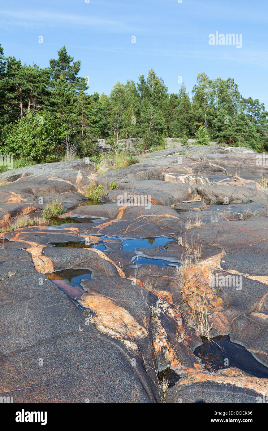 Beautiful patterns in nature Stock Photo - Alamy