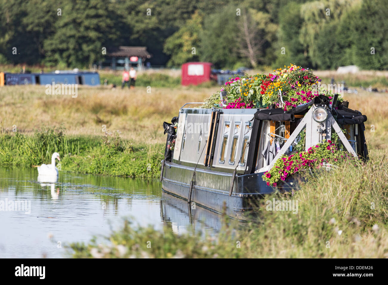 Black narrowboat decorated with colourful flowers on its roof on the ...
