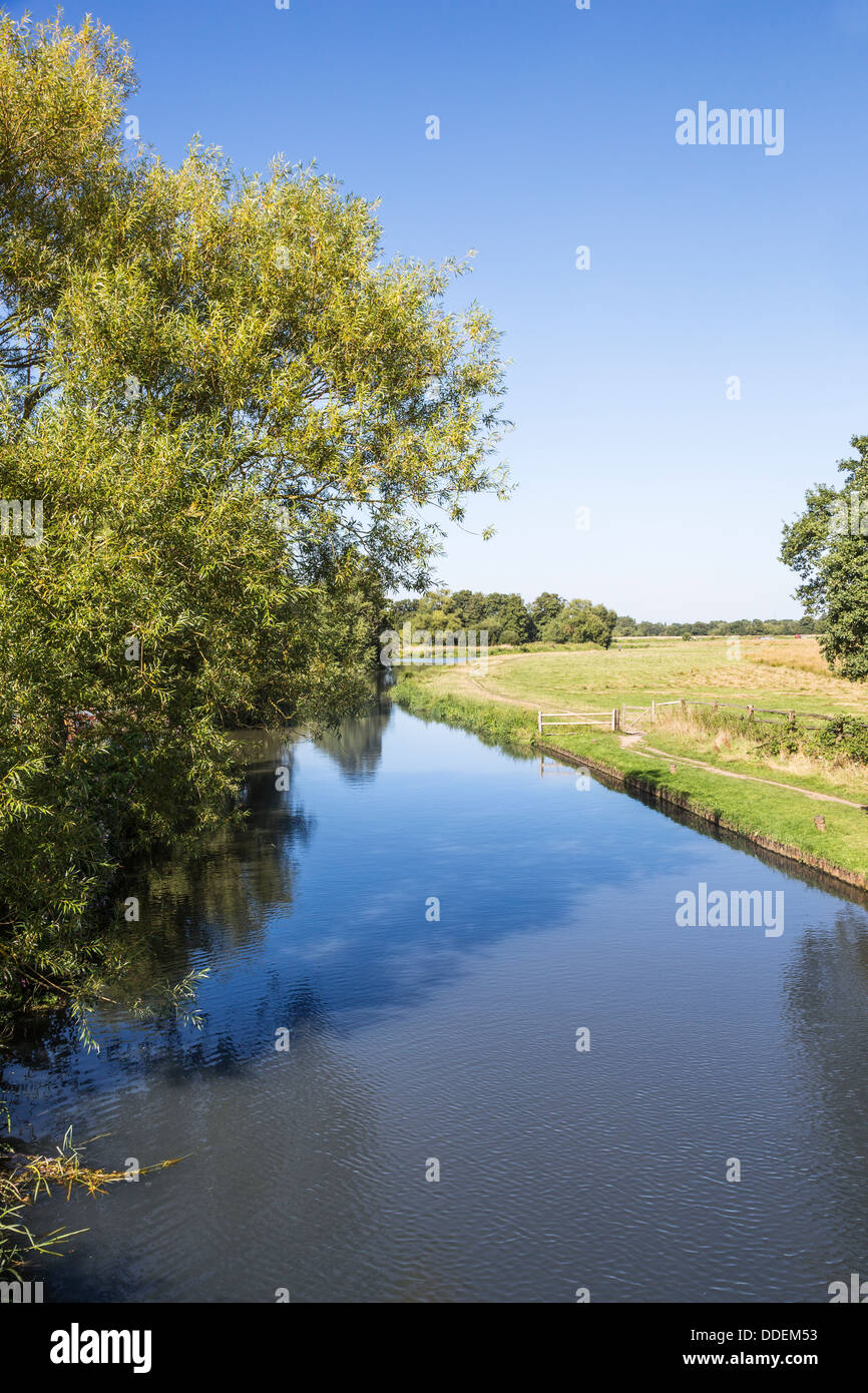Surrey countryside near Pyrford in summer, by River Wey Stock Photo - Alamy