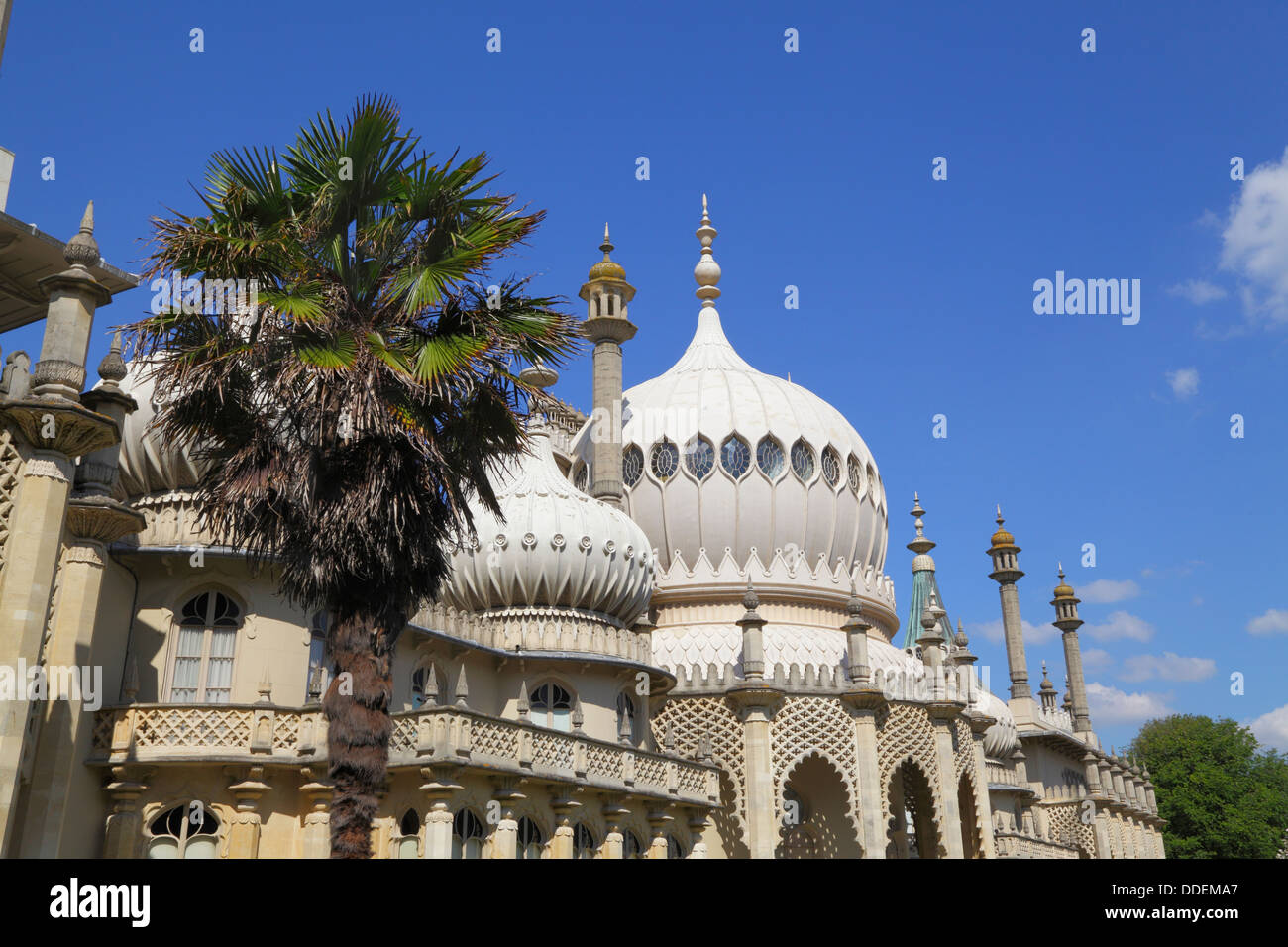 Palm tree royal pavilion brighton hi-res stock photography and images ...