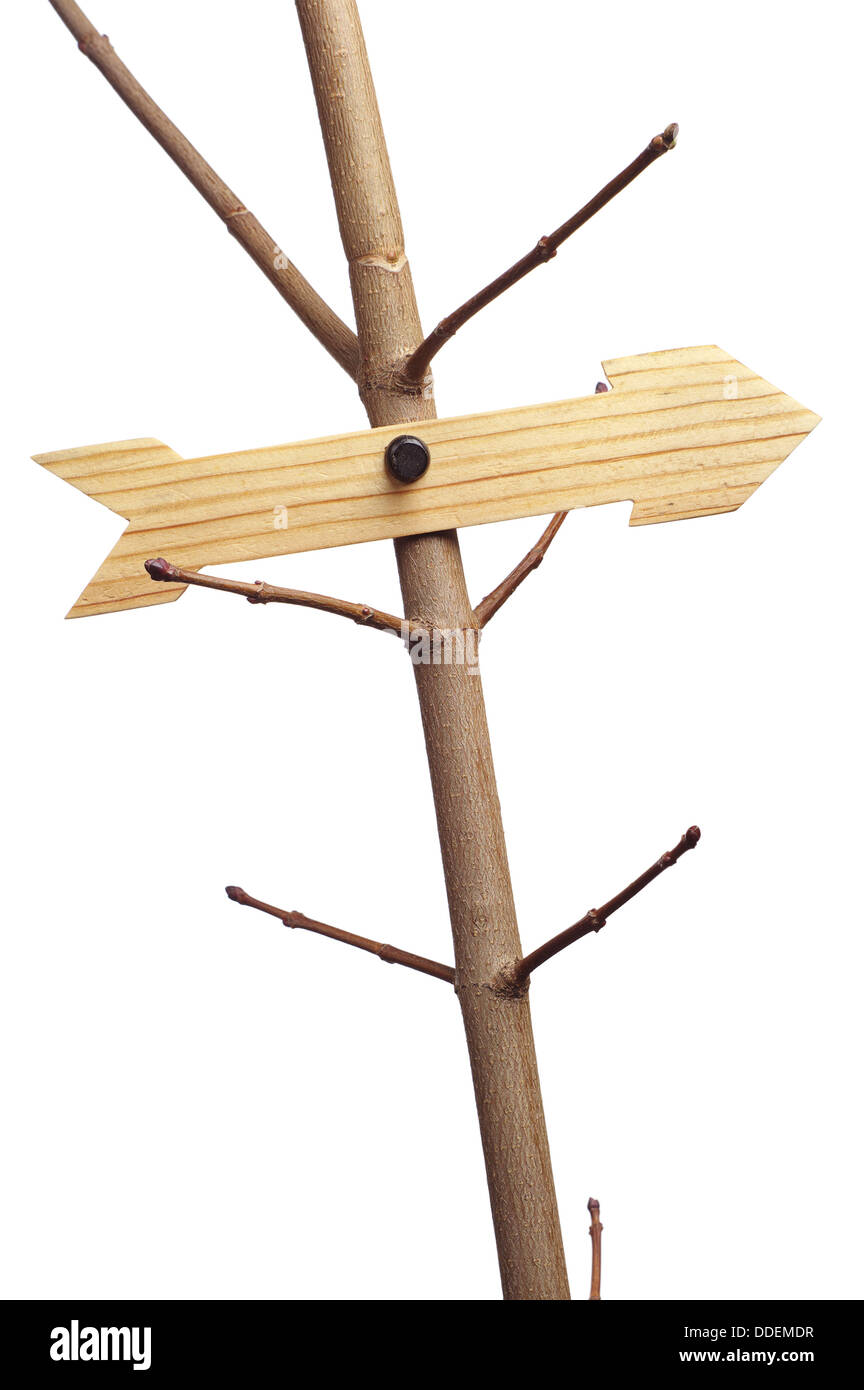 Wooden arrows on a tree branch isolated on white Stock Photo - Alamy