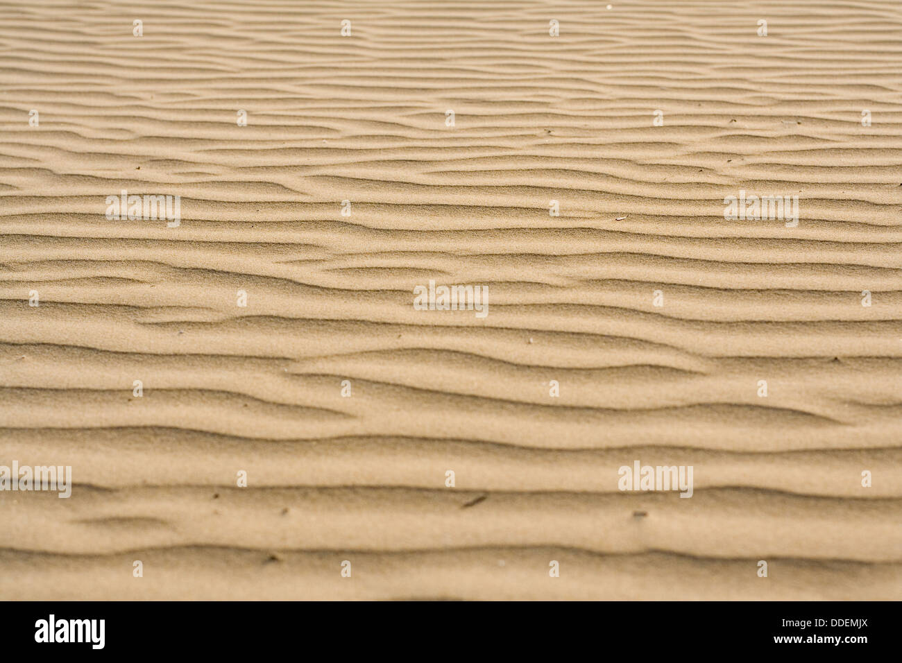 Sand surface hi-res stock photography and images - Alamy