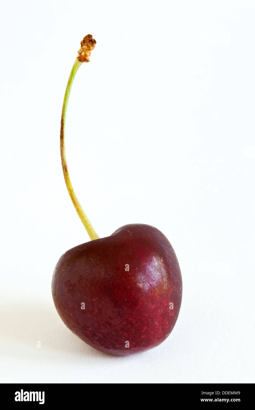 A single cherry fruit with a stalk against a white background Stock ...