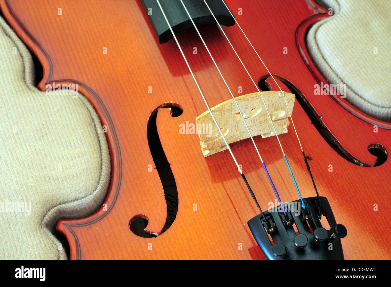 Viola in its case showing f-holes, bridge, fingerboard and tailpiece ...