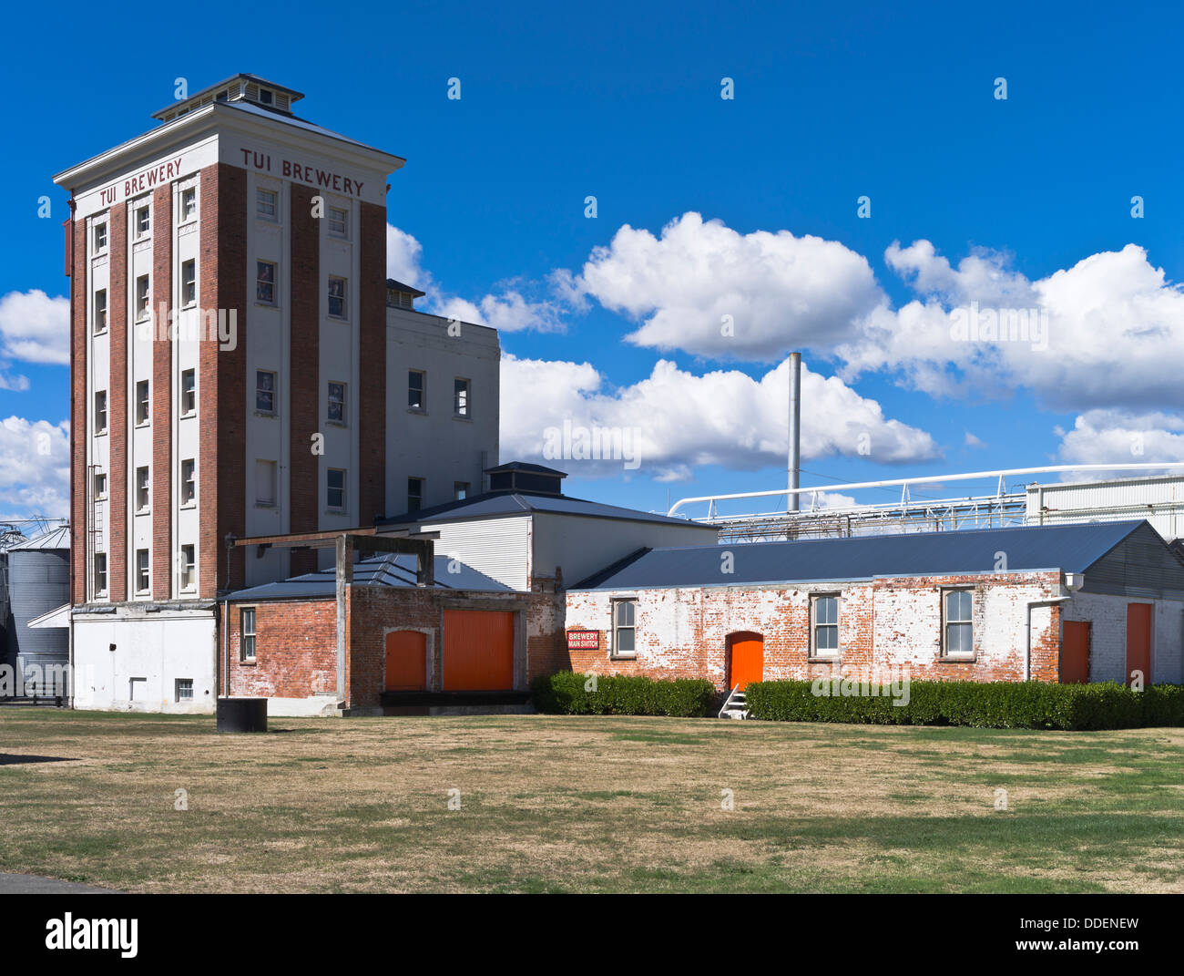 Tui beer hi-res stock photography and images - Alamy
