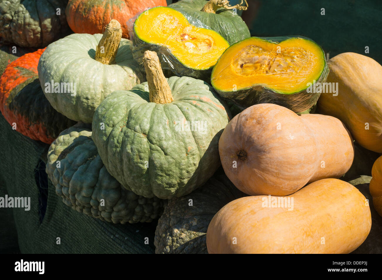Colorful assortment of pumpkins at a market stall Stock Photo - Alamy