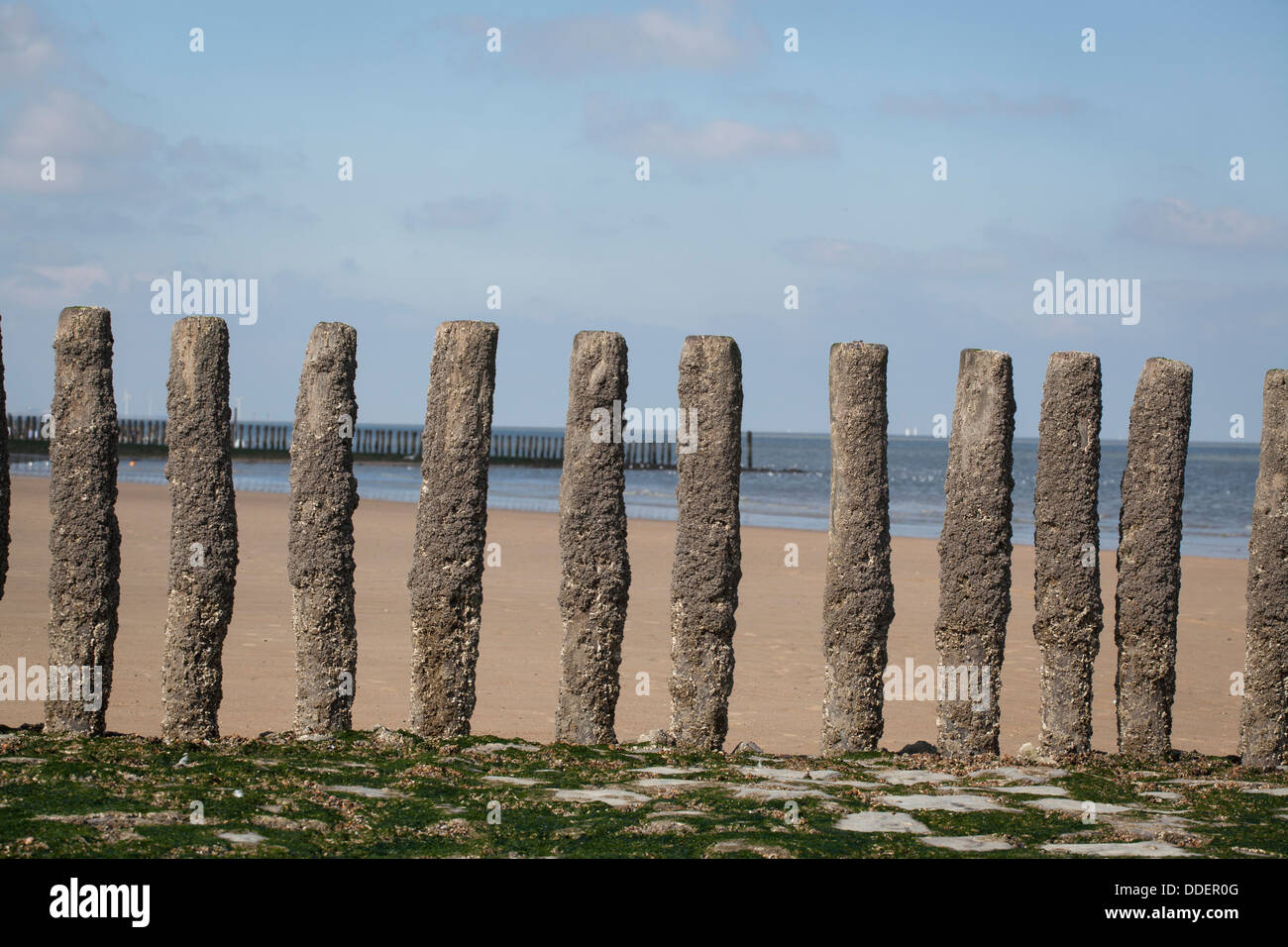 Beach of Cadzand in the Netherlands Stock Photo - Alamy