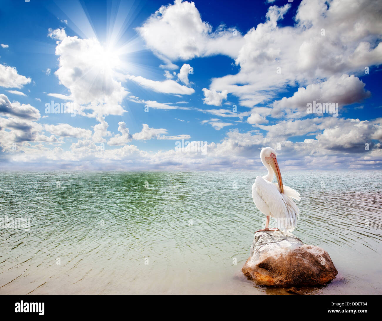 Dreamscape art hi-res stock photography and images - Alamy