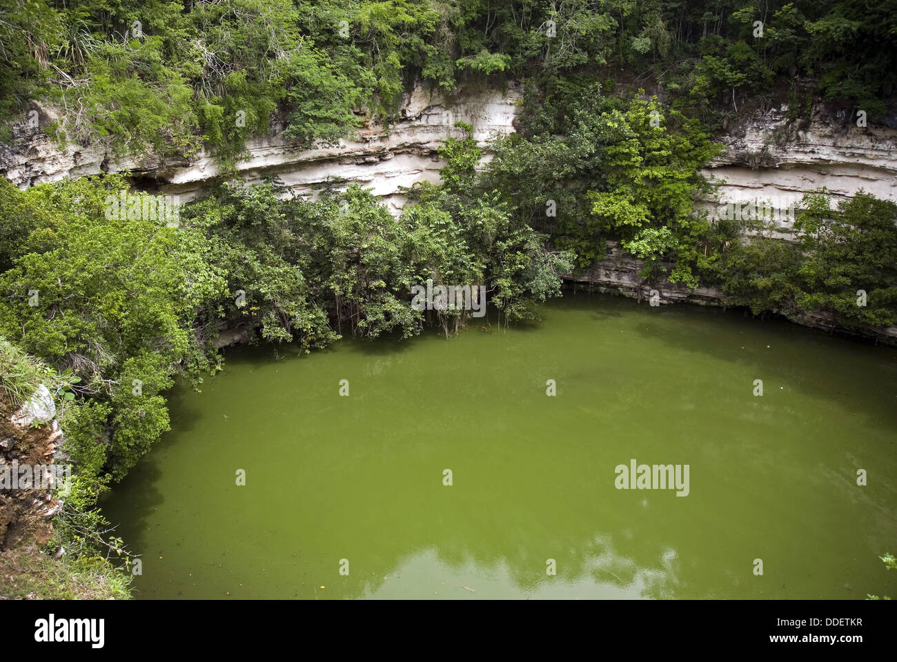 Sacred cenote chichen itza mexico hi-res stock photography and images ...