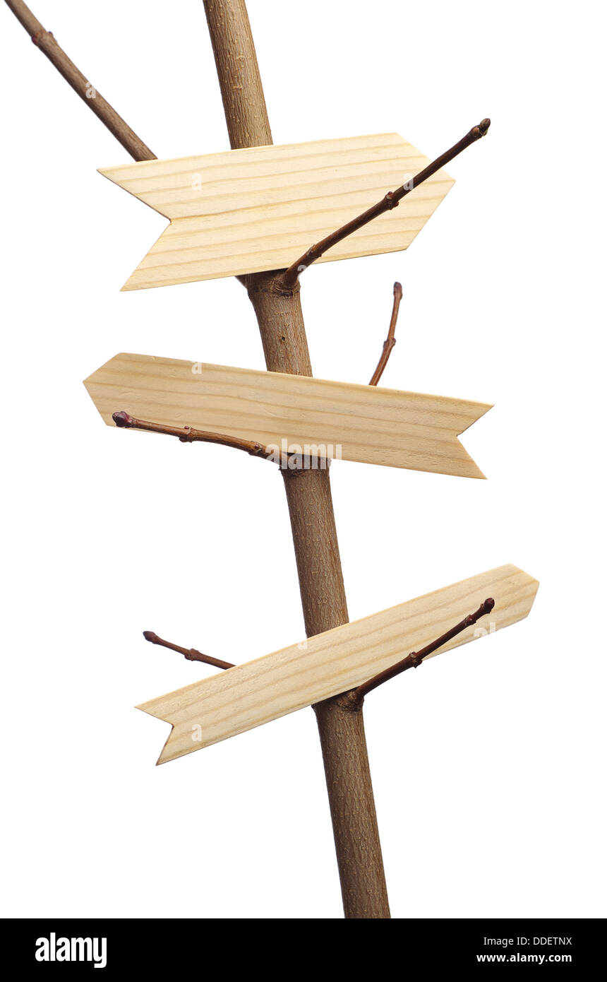 Three wooden arrows on a tree branch isolated on white Stock Photo - Alamy