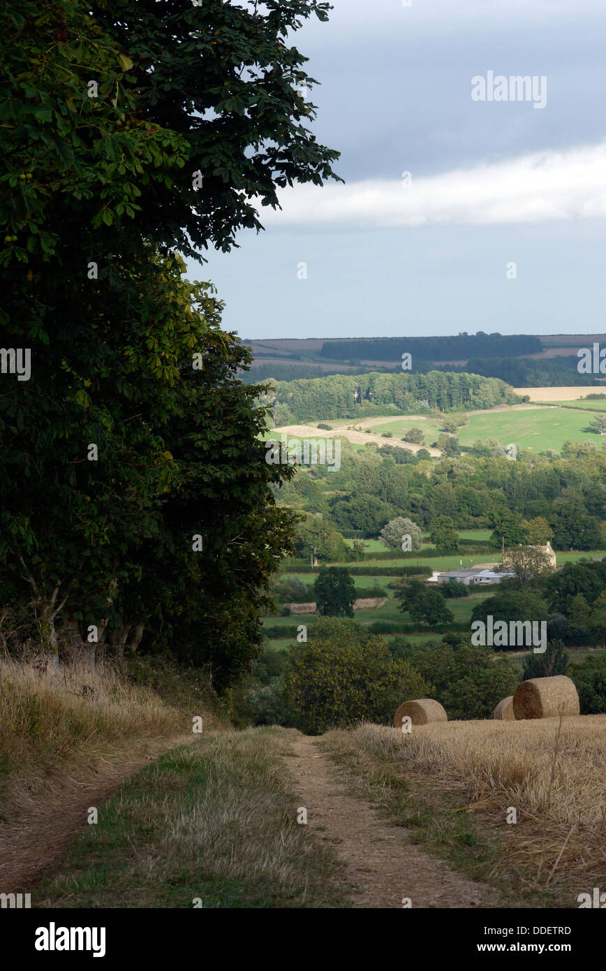 Cotswolds fields hi-res stock photography and images - Alamy