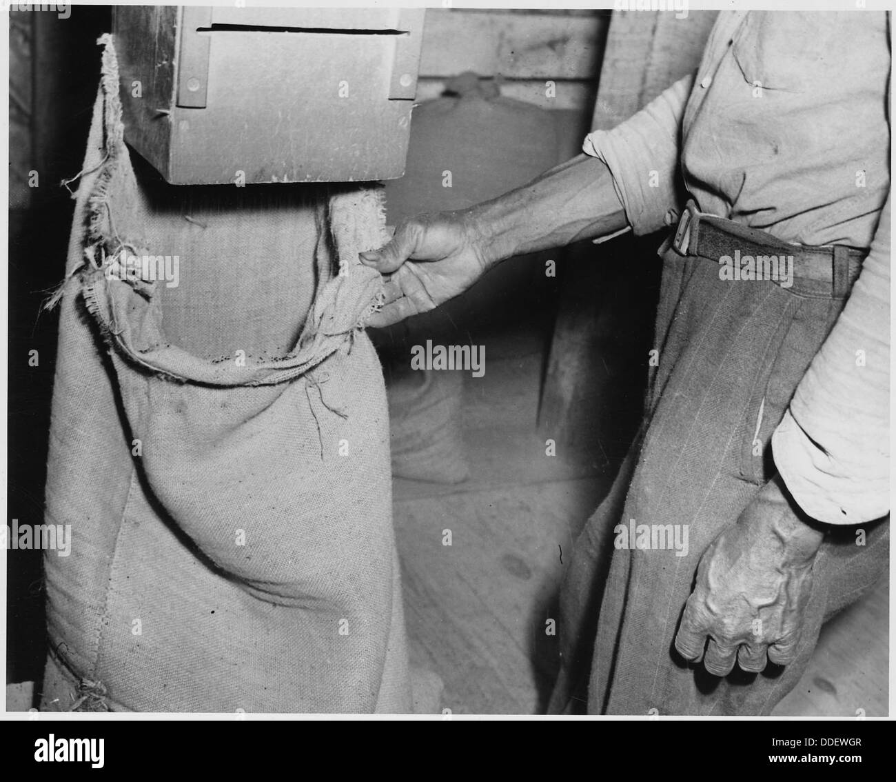 Passing the seed Black and White Stock Photos & Images - Alamy