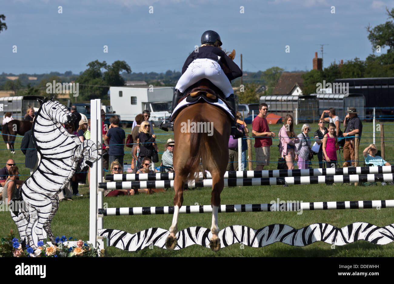 Equestrian horse show jumping at Weedon Buck's County show. Hind end of ...