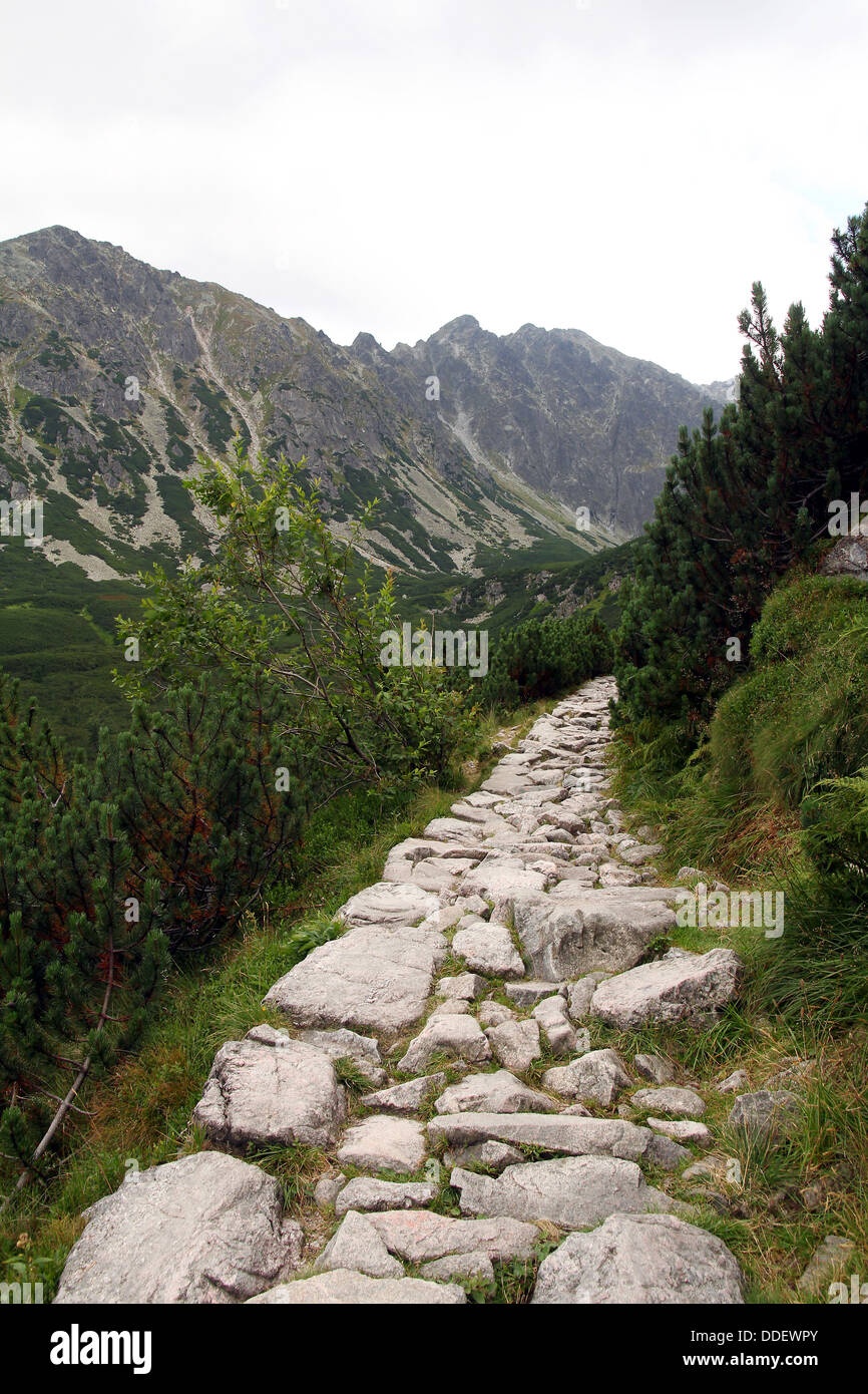 mountain stone path Stock Photo - Alamy