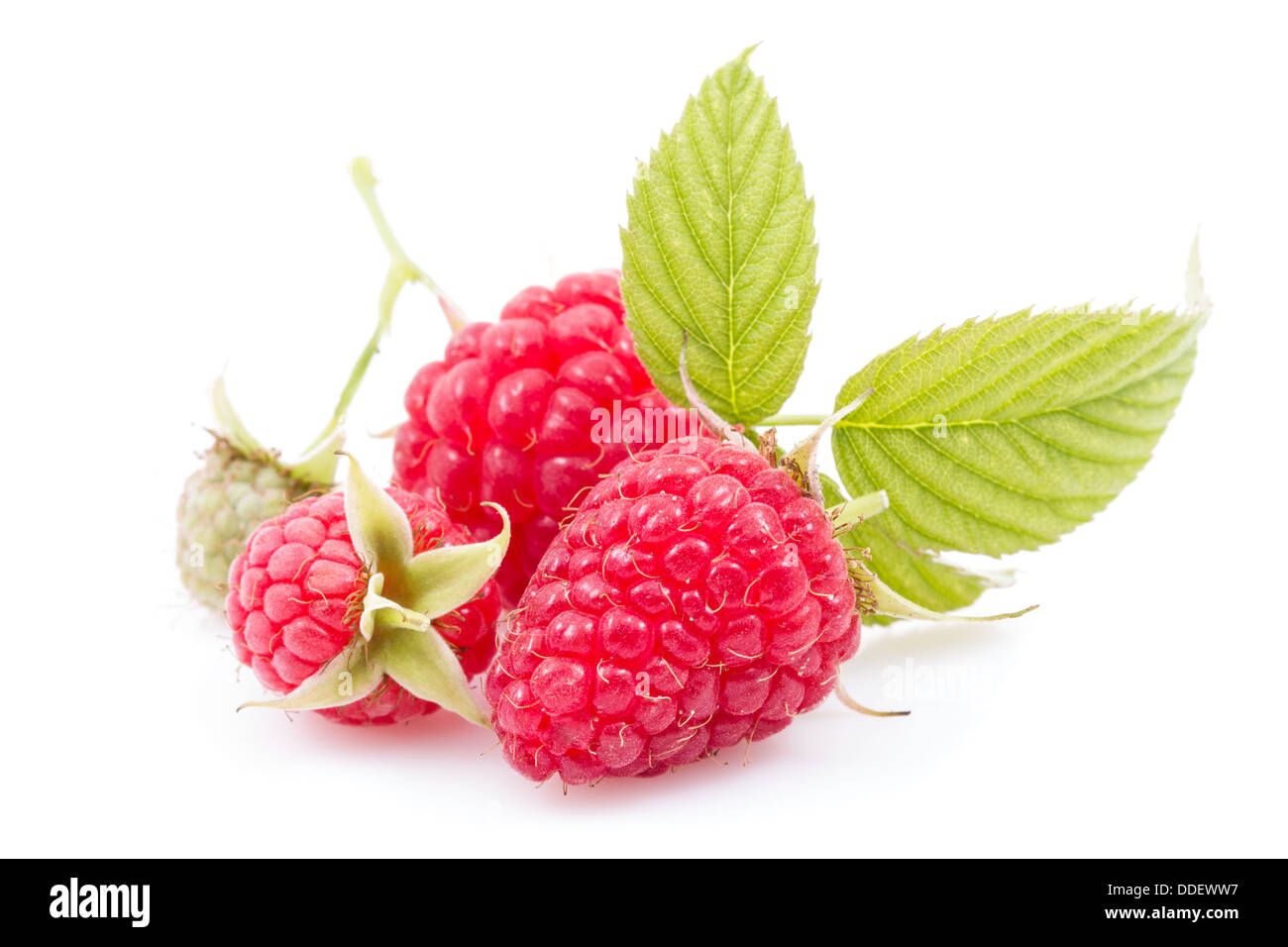 Raspberry pill with leaves on white background Stock Photo - Alamy