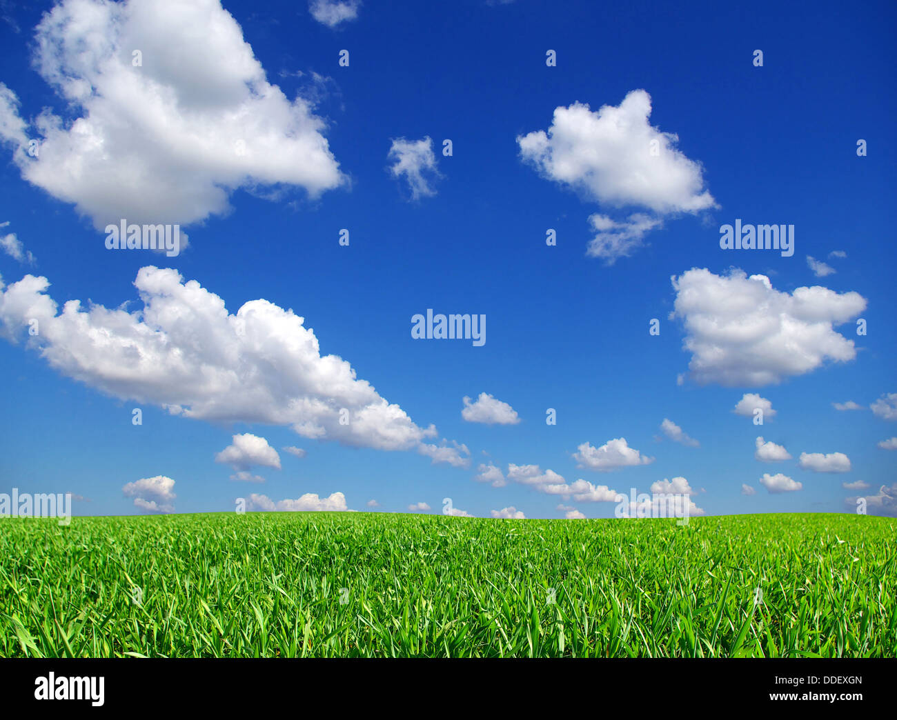 field on sky Stock Photo - Alamy