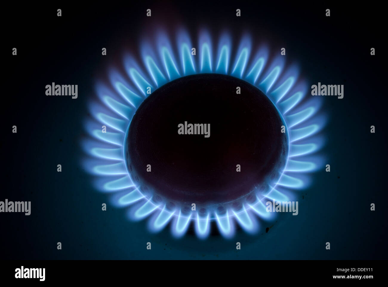 flames of gas Stock Photo - Alamy