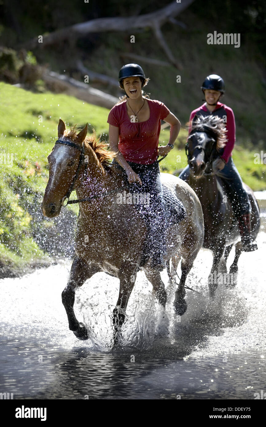 Cantering hi-res stock photography and images - Alamy