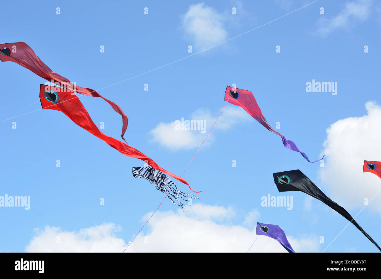 Bristol Kite Fiesta festival 2013 England UK Stock Photo - Alamy
