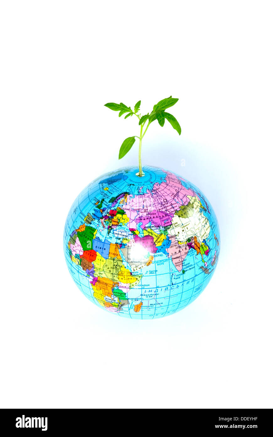 globe and plant Stock Photo - Alamy