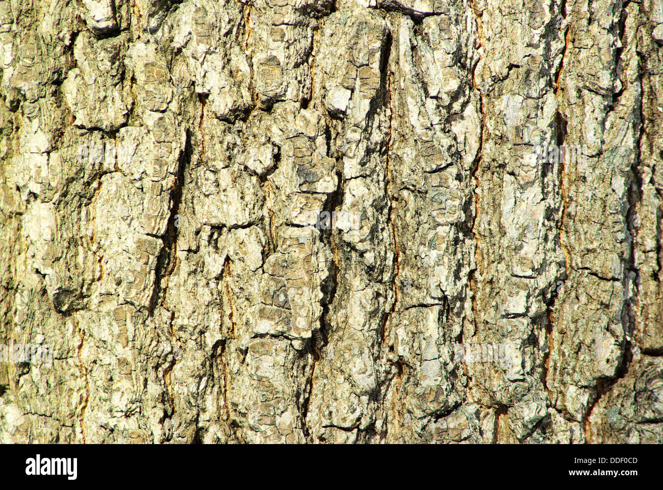 Deep furrow hi-res stock photography and images - Alamy