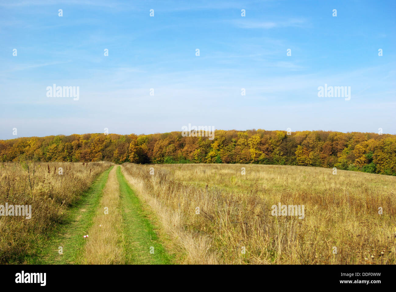 path in the field Stock Photo - Alamy