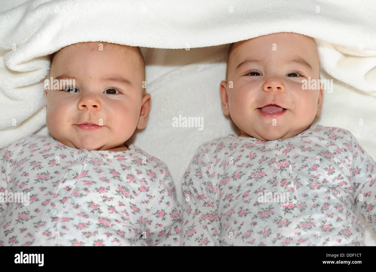 Monozygous hi-res stock photography and images - Alamy