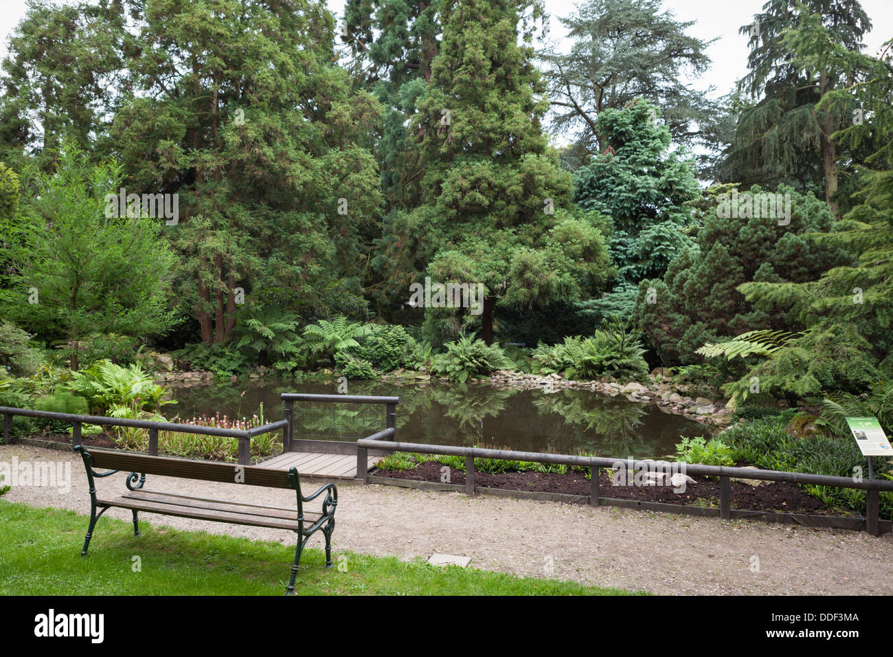Mesozoic hi-res stock photography and images - Alamy