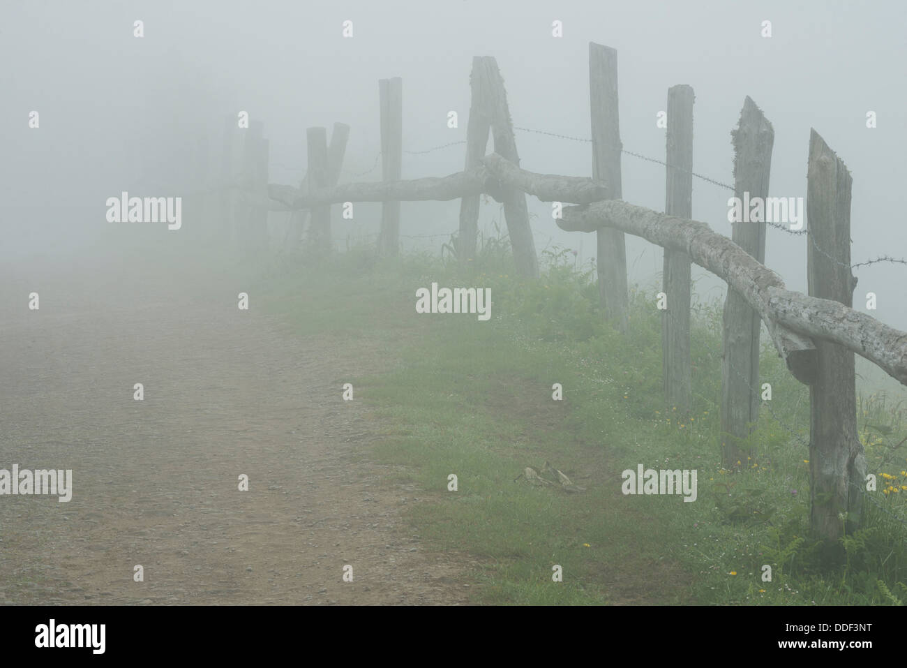 Fog fence hi-res stock photography and images - Alamy