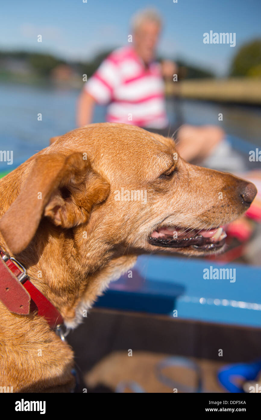 Old man dog boat hi-res stock photography and images - Alamy