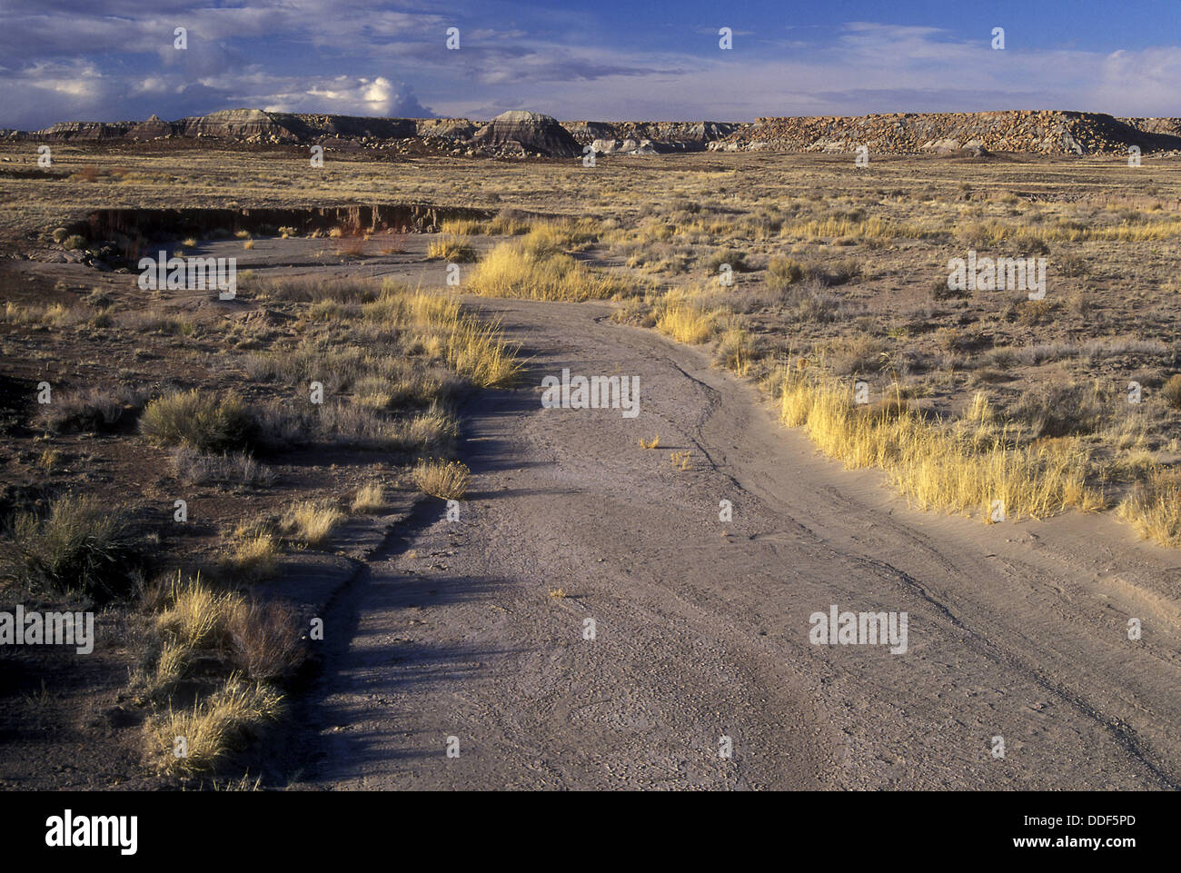 Rainbow wash hi-res stock photography and images - Alamy