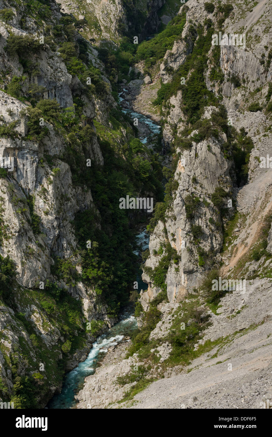 The Cares Gorge, Picos de Europa National Park Stock Photo - Alamy