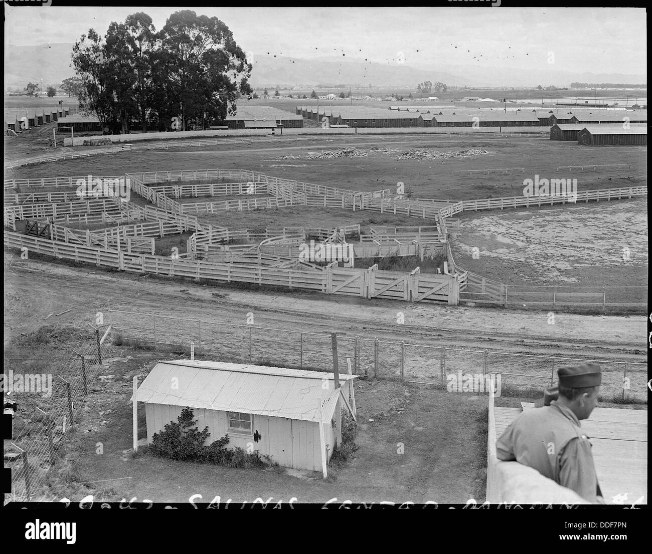 This photograph shows a panoramic view of the Salinas Assembly Center ...