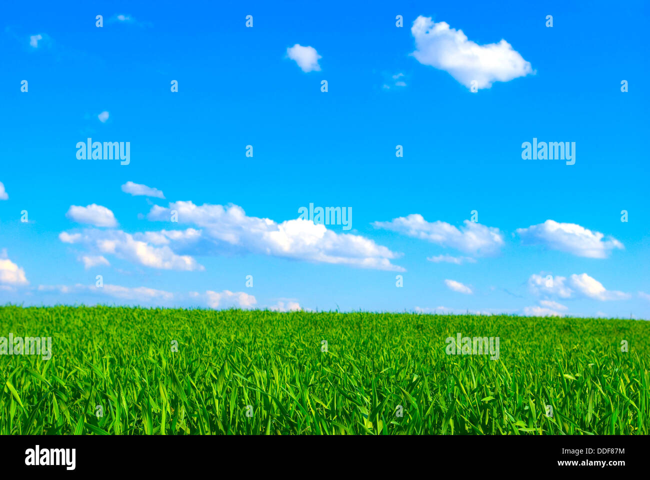 field and sky Stock Photo - Alamy