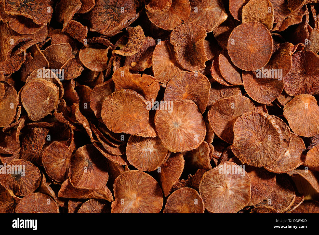 dried betel nut background Stock Photo - Alamy
