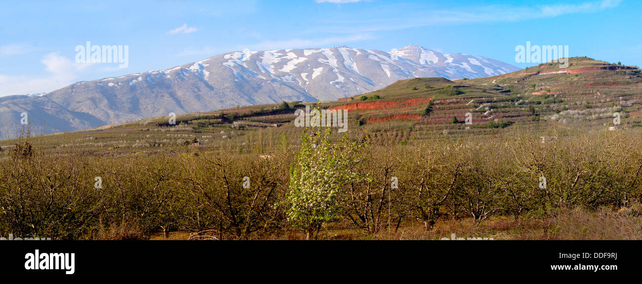 Panoramic view of the Golan Heights, Israel Stock Photo - Alamy