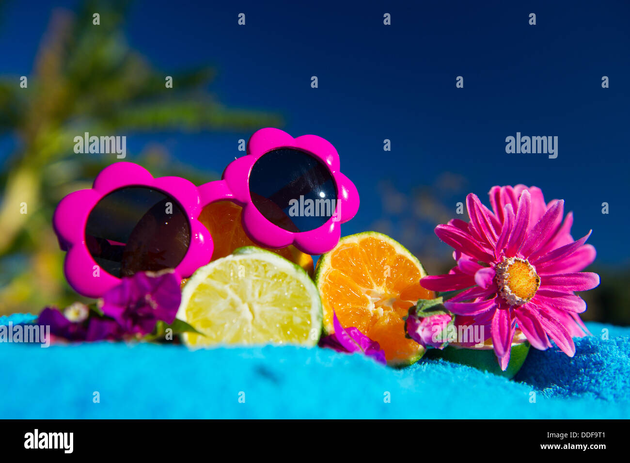Tropical citrus fruit Stock Photo - Alamy