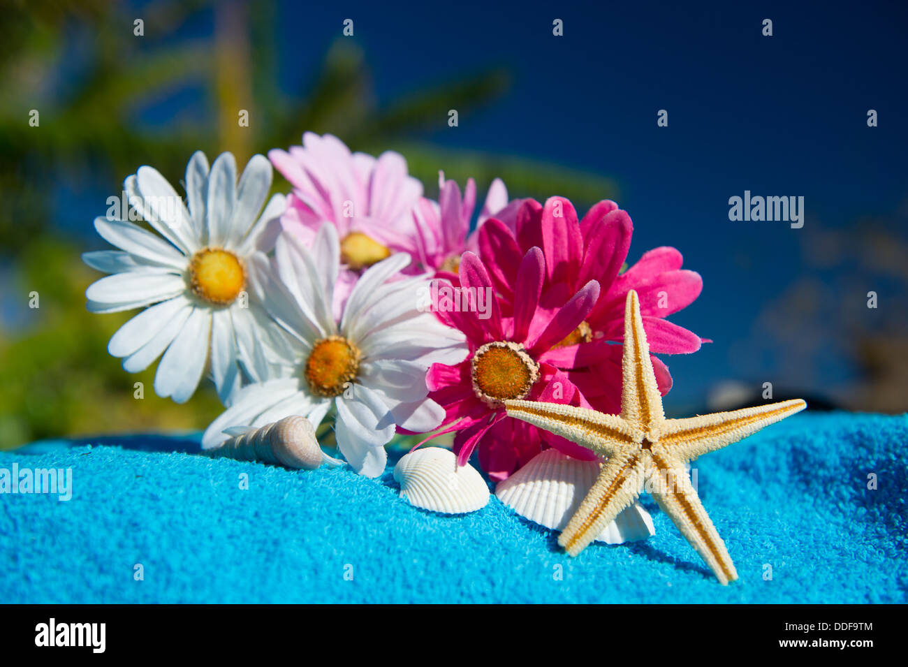Tropical still life Stock Photo - Alamy